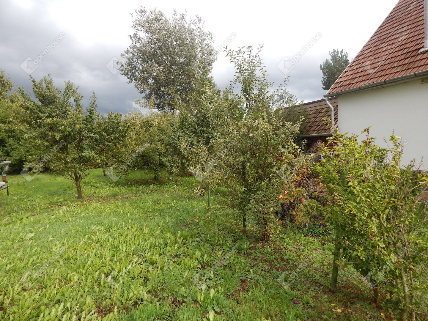 Eladó Családi ház, Bodony (#124059) | Openhouse