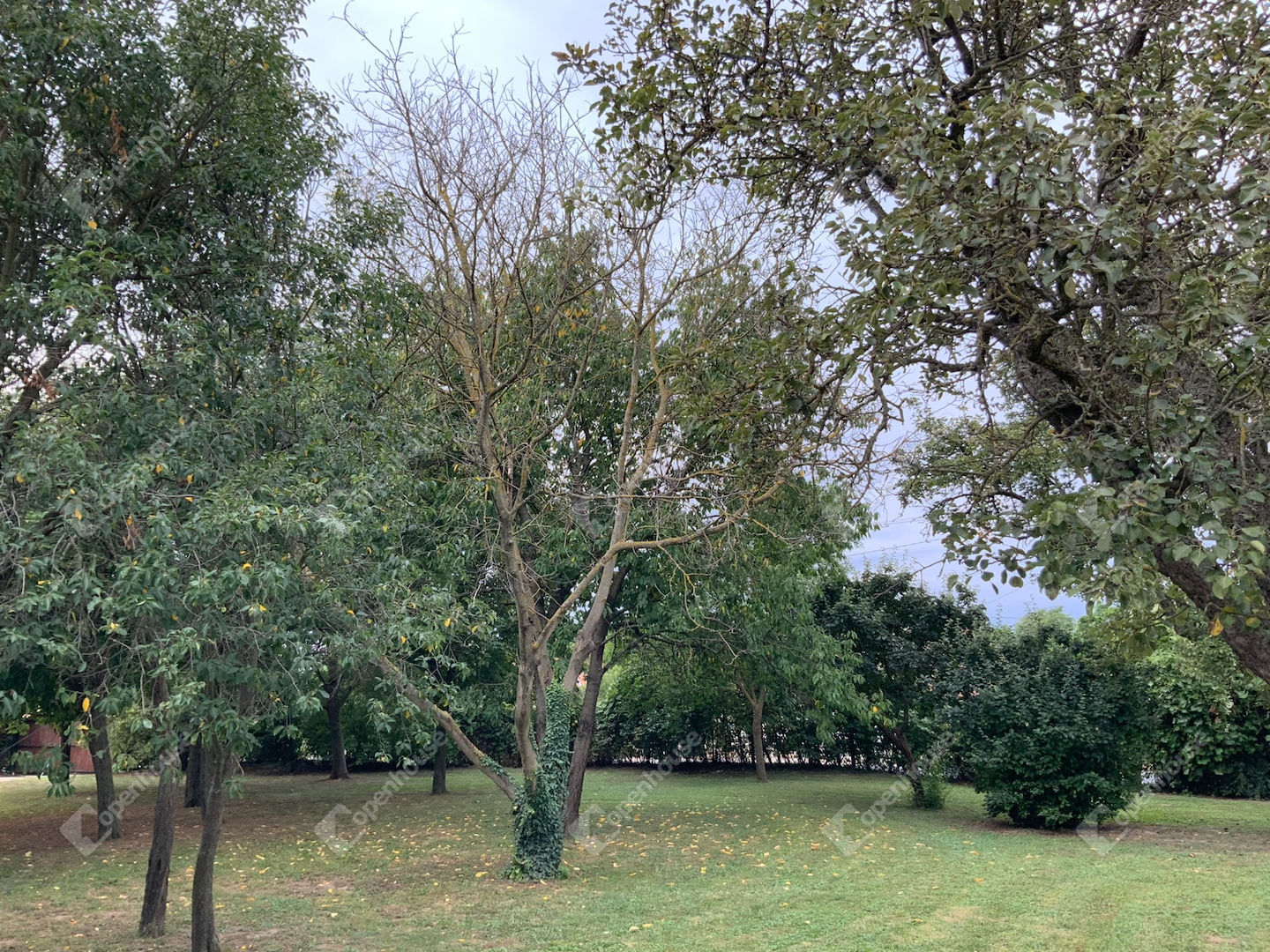 Eladó Családi ház, Kenyeri (#161616) | Openhouse