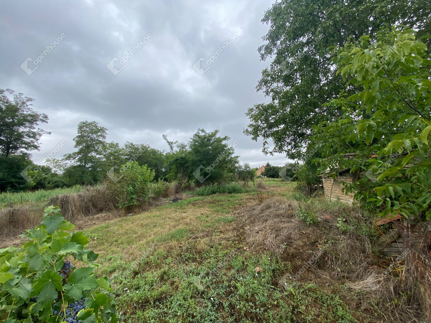 Eladó Családi ház, Felsőnyék (#158915) | Openhouse